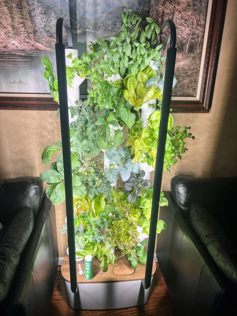 Gardyn Home Kit 4.0 review - Indoor gardening made smart, easy and ...