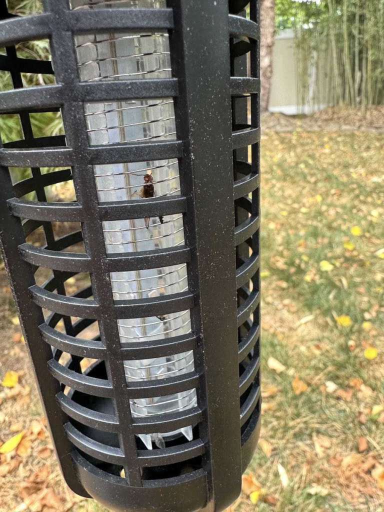 PestSniper Solar Bug Zapper review - charges by day and zaps bugs by ...