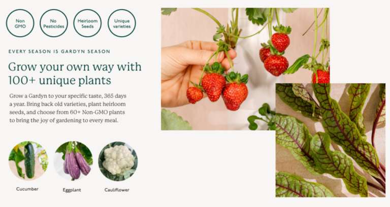 Gardyn Home Kit 4.0 review - Indoor gardening made smart, easy and ...