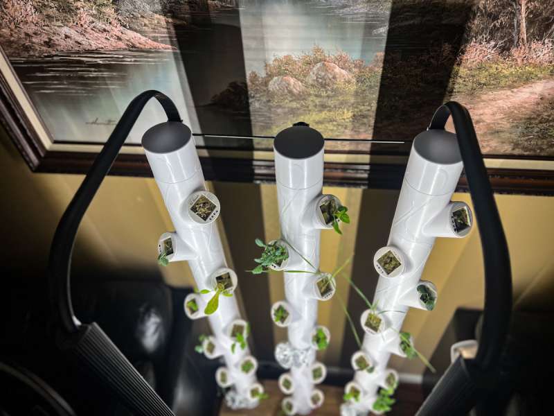 Gardyn Home Kit 4.0 review - Indoor gardening made smart, easy and ...