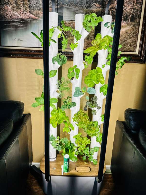 Gardyn Home Kit 4.0 review - Indoor gardening made smart, easy and ...