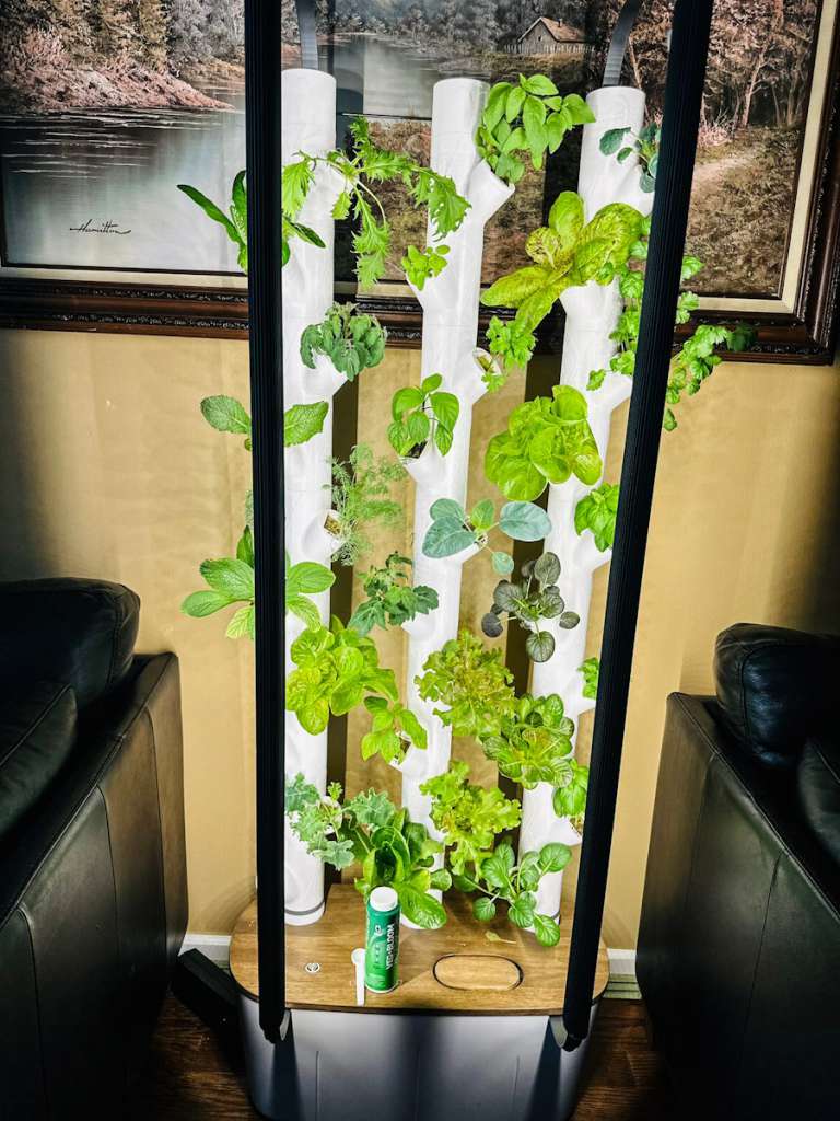 Gardyn Home Kit 4.0 review - Indoor gardening made smart, easy and ...