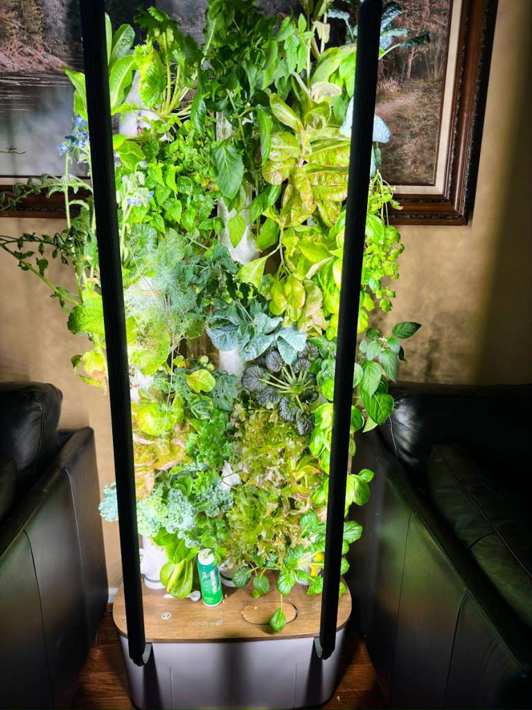 Gardyn Home Kit 4.0 review - Indoor gardening made smart, easy and ...