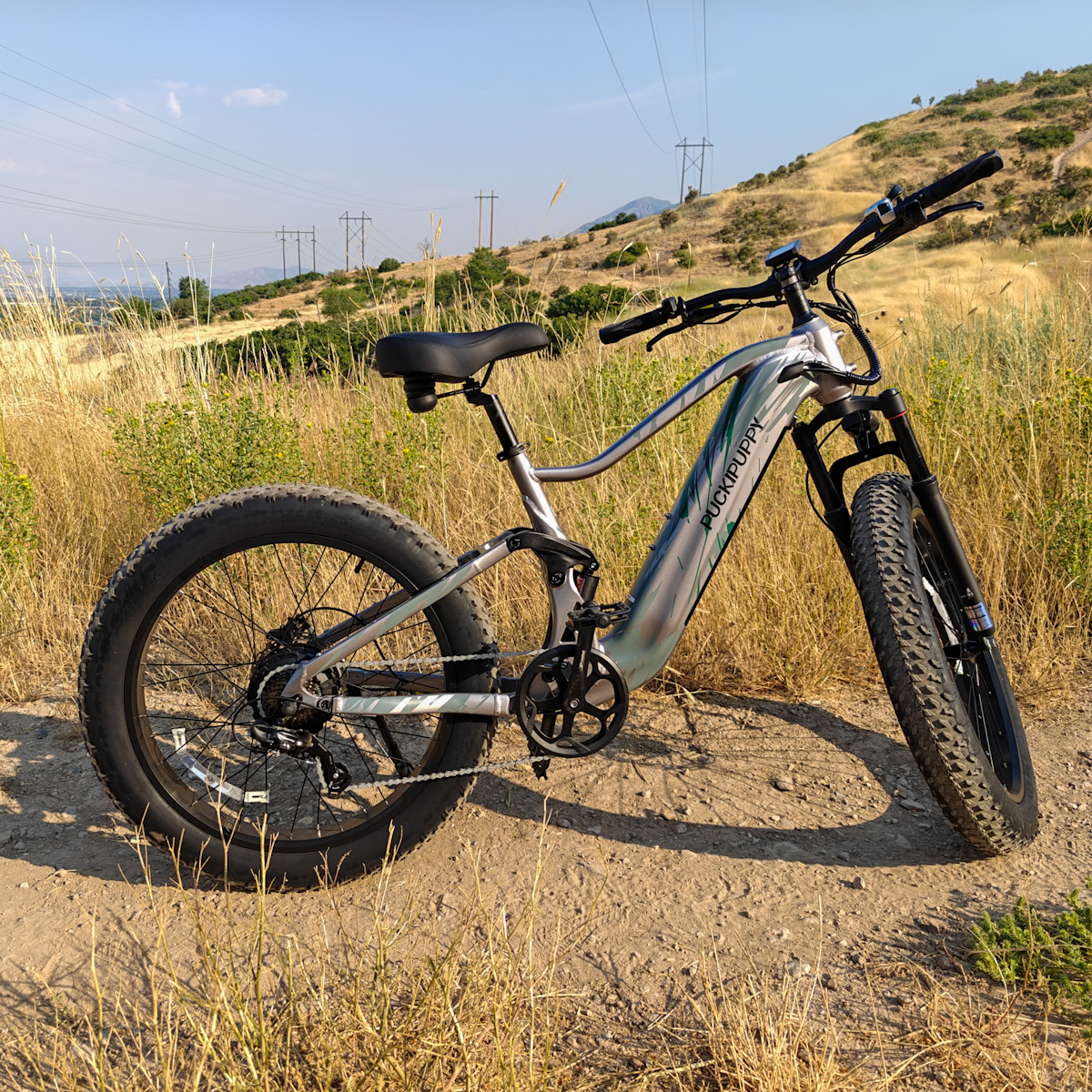 Puckipuppy Boxer Off-Road e-bike review - a fun long range fat tire e ...
