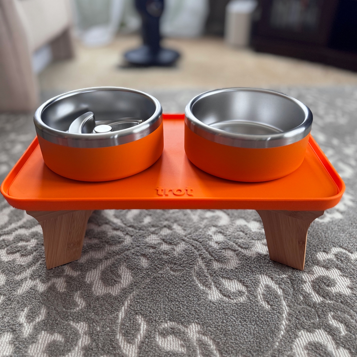Trot Elevated Complete Pet Bowl Set review - The last bowl set your ...