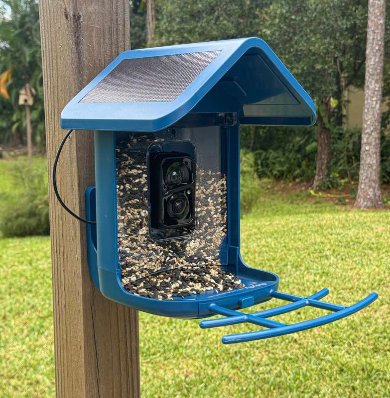Onlyfly Bird Feeder Cam review – A feeder AND camera for birds—and ...