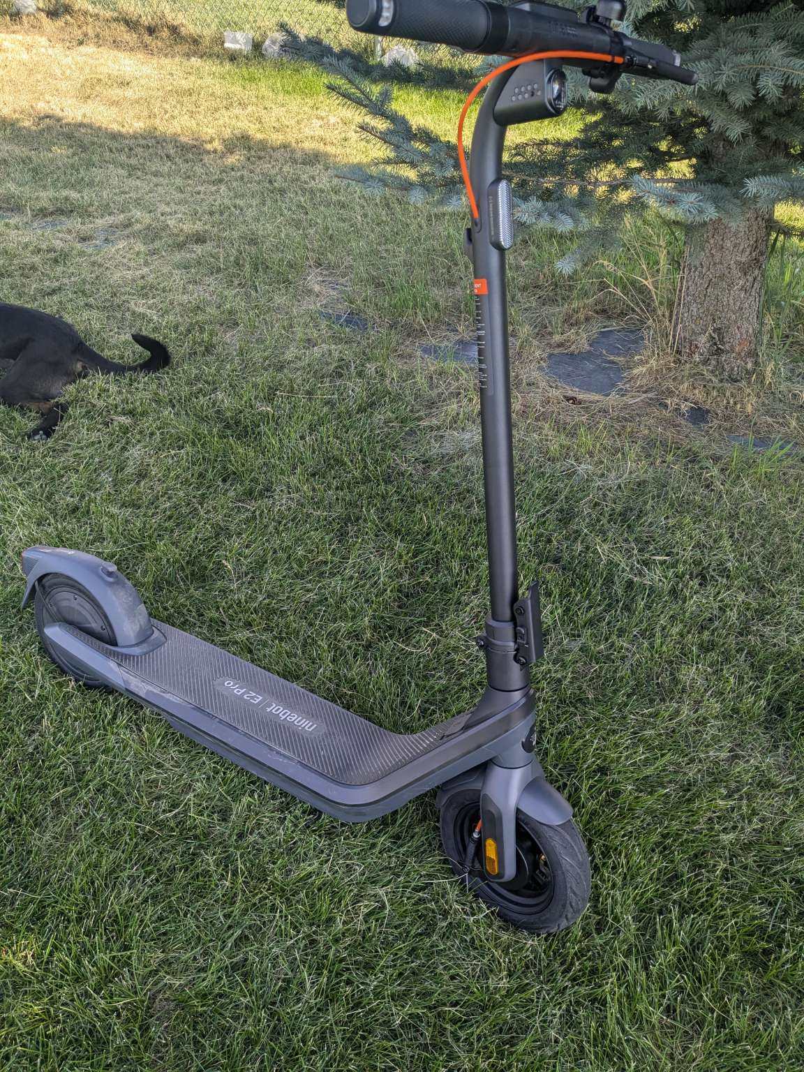 Segway Ninebot eKickScooter E2 Pro review - A high quality electric ...