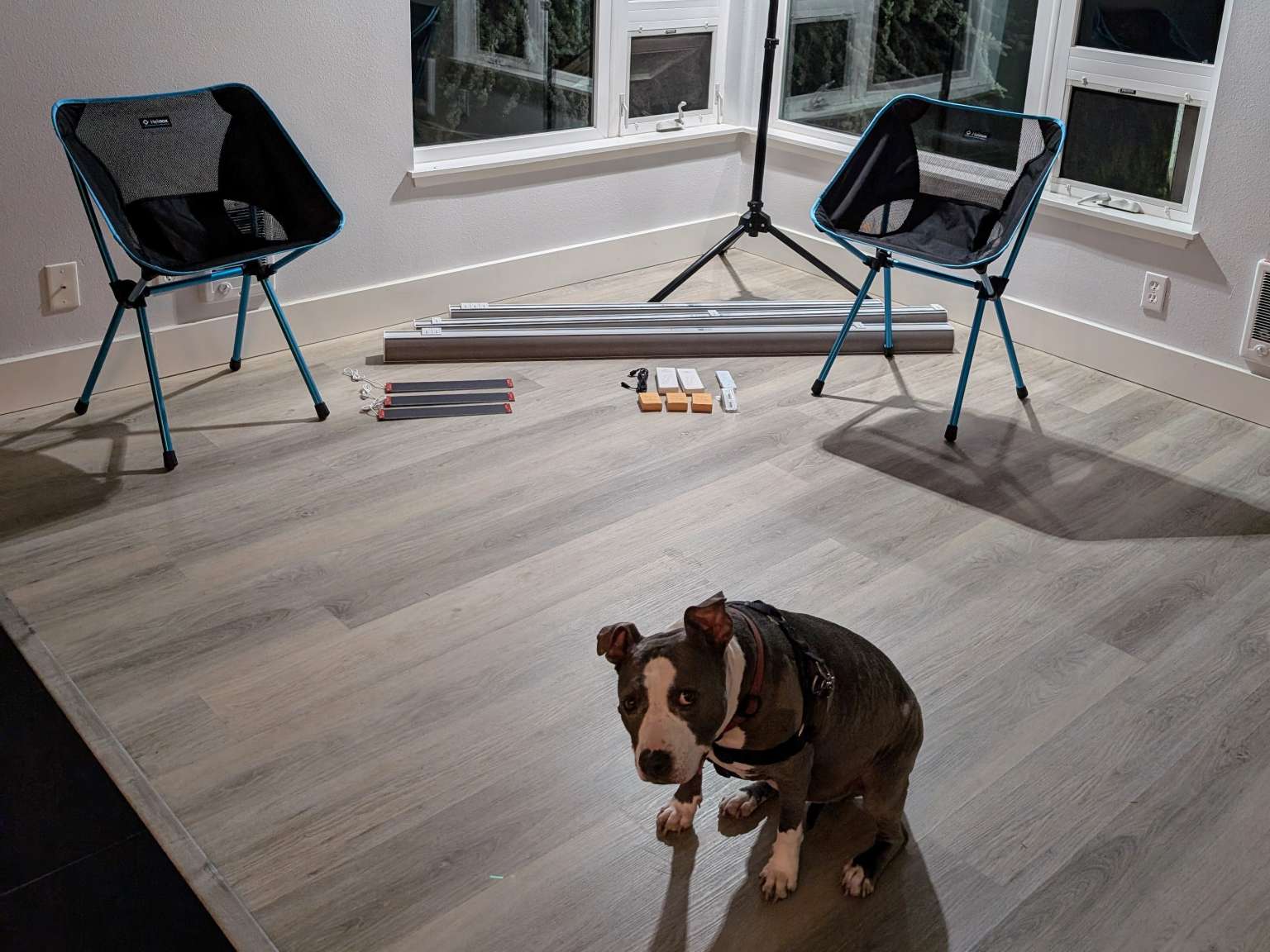 SmartWings Motorized Light Filtering Roller Shades review - Smart ...