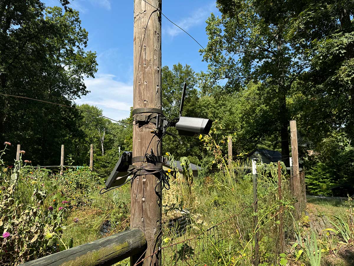 Tactacam Defend security camera review - A cellular security camera for ...