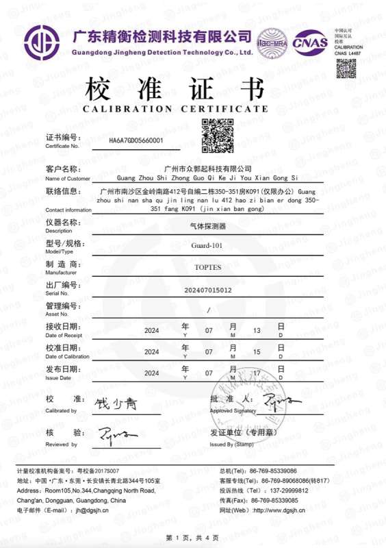 TOPTES Guard-101 4 gas monitor review - gas safety in your hand - The ...