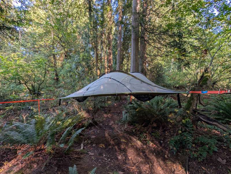 Tentsile Safari Stingray Tree Tent review - Defy gravity and embrace ...