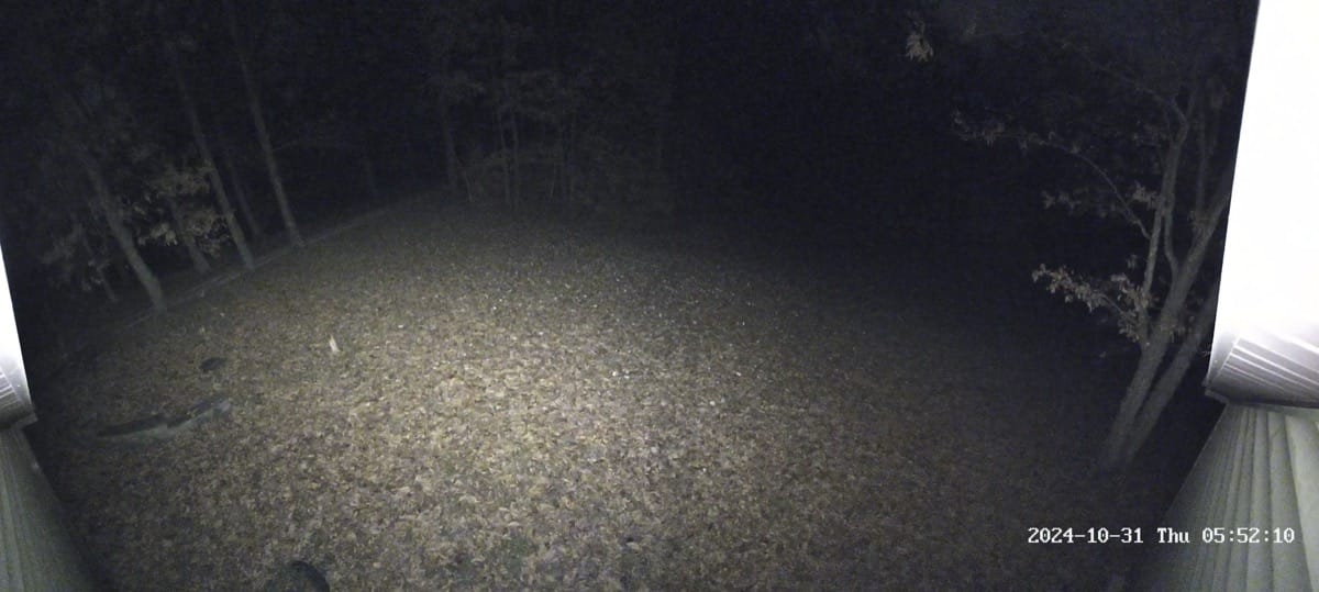 ANNKE FCD600 PoE dual lens panoramic outdoor security camera review ...