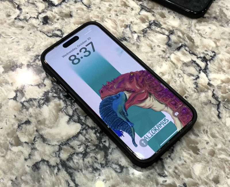 TIZAG Customizable Digital Canvas iPhone Case review - rocks some ...
