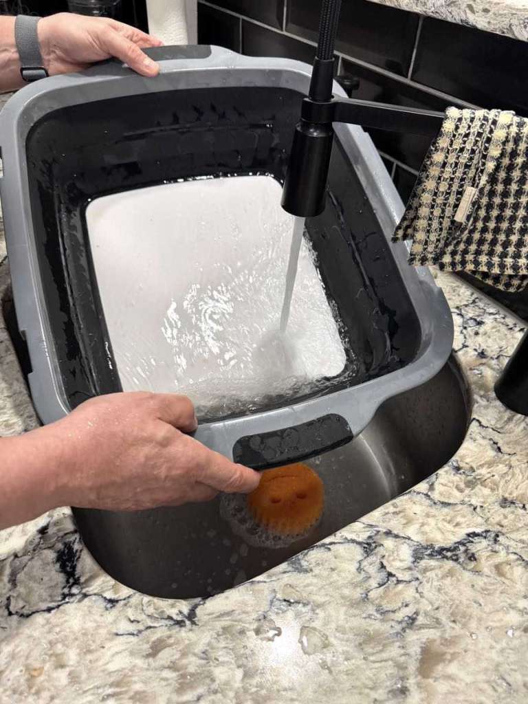 Drip EZ BBQ & Meal Prep Tub review - The Gadgeteer