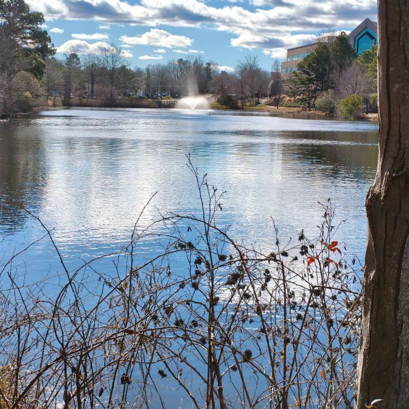 POCO X7 Pro smartphone review - Pick one for your region - The Gadgeteer