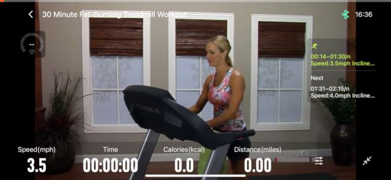 WELLFIT TM007 Foldable Auto 15 Incline Treadmill review - It's time to get ready for Spring ...