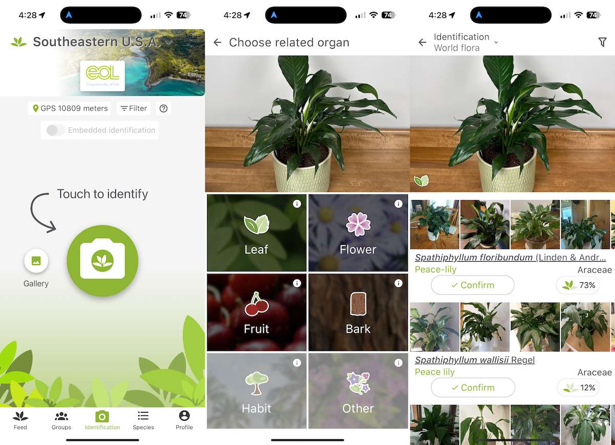 How effective is Apple Intelligence at identifying house plants? - The ...