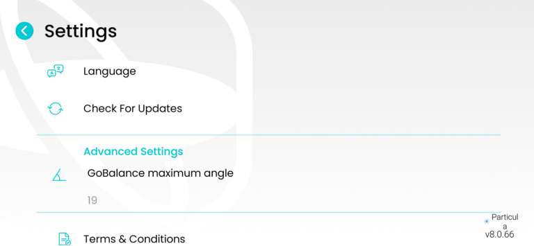 GoBalance Sport balance board review - A fun way to work on your ...