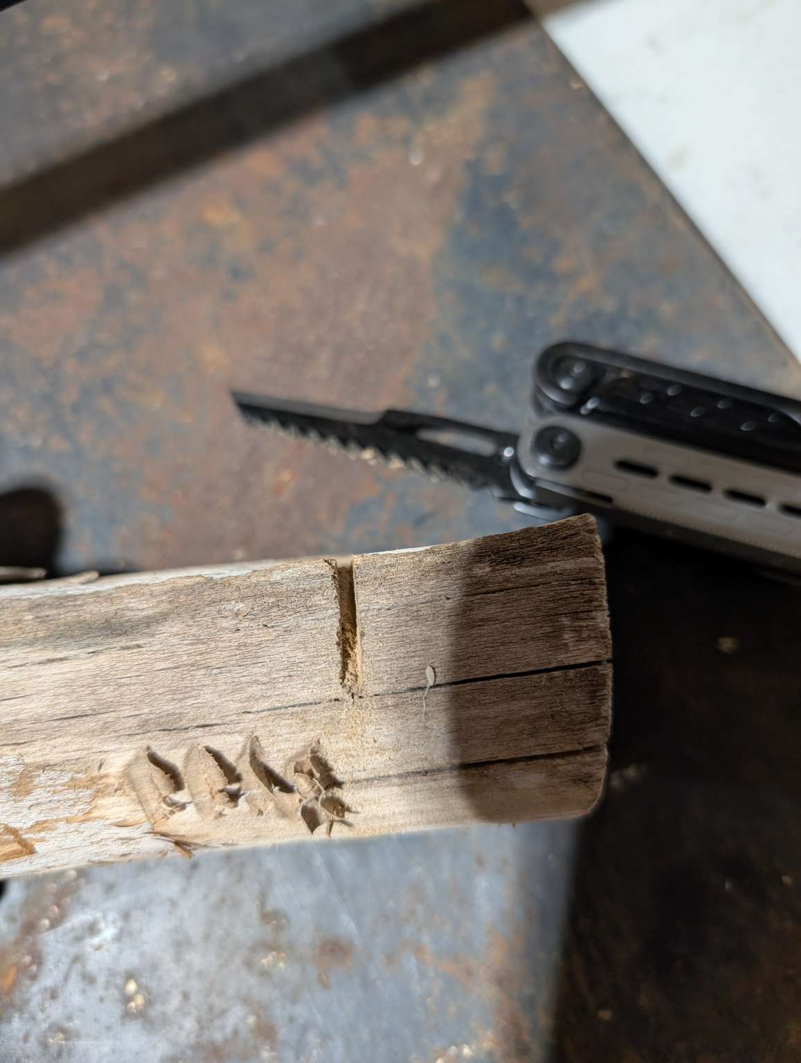 Gerber Stakeout Spark multi-tool review - A multi-tool with a built-in ...