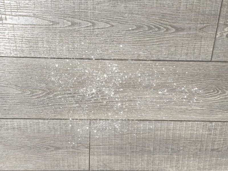 Ecovacs DEEBOT X8 PRO OMNI robot vac/mop review - Edging closer to the ...