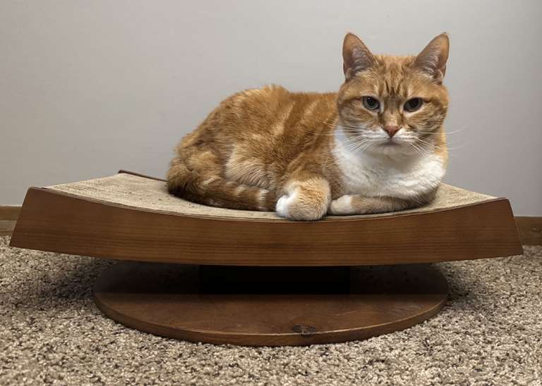 Mau Torii modern wooden cat scratcher review - The Gadgeteer