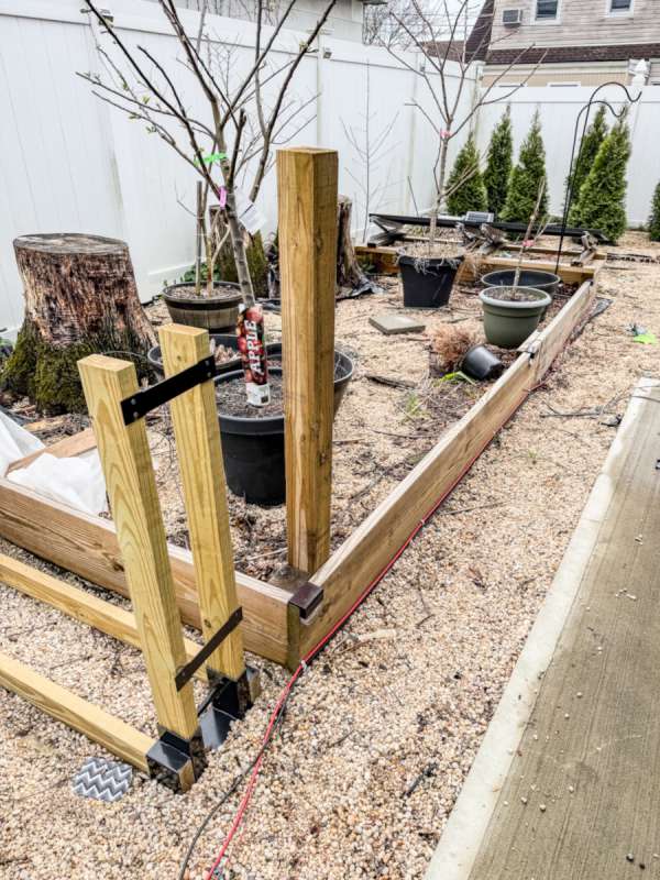 VINGUYS Smart Bird Feeder V-Feeder Bamboo review - The Gadgeteer