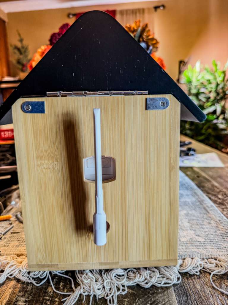 VINGUYS Smart Bird Feeder V-Feeder Bamboo review - The Gadgeteer