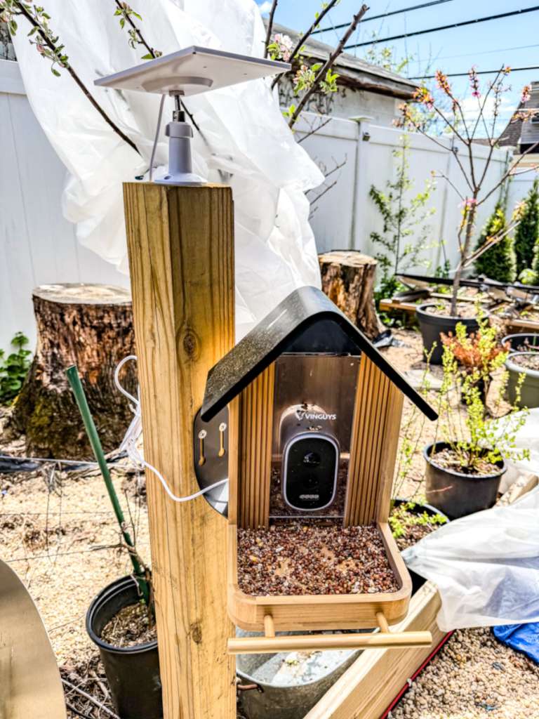 VINGUYS Smart Bird Feeder V-Feeder Bamboo review - The Gadgeteer