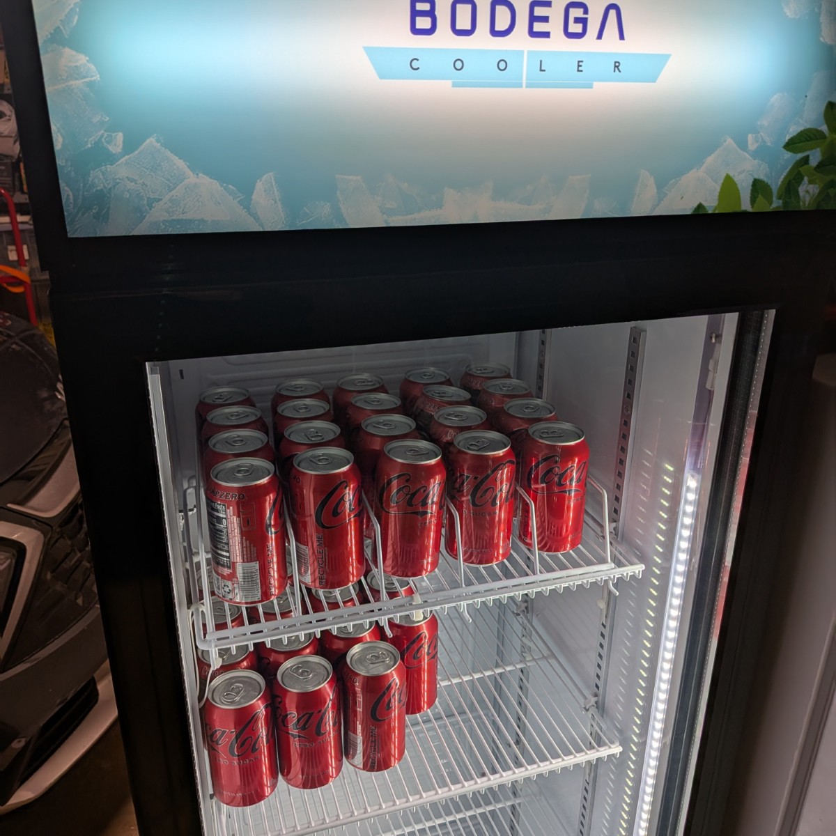 Bodega Single door display cooler review - a great cooler with eye ...