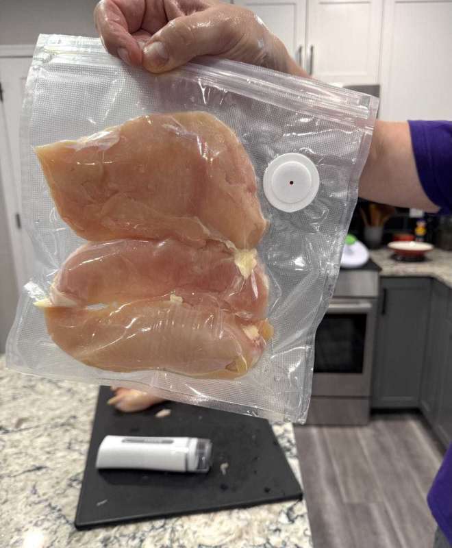 FEPPO Vacuum Food Sealer review - An easy to use food storage solution ...