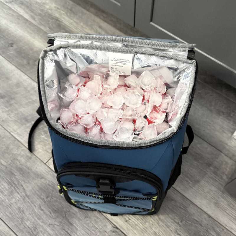 Arctic Zone Titan 24 Can Backpack Cooler review - The Gadgeteer