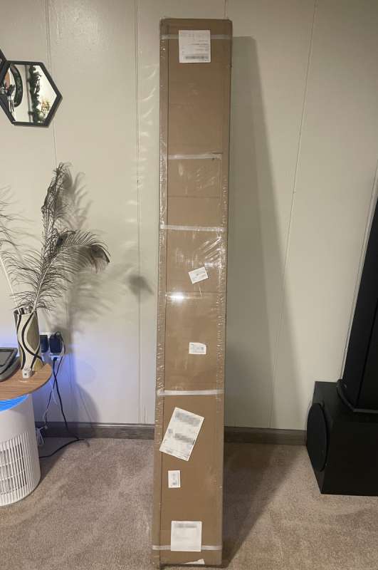 Nothing Projector 120" ALR Short-Throw Projection Screen review - The ...