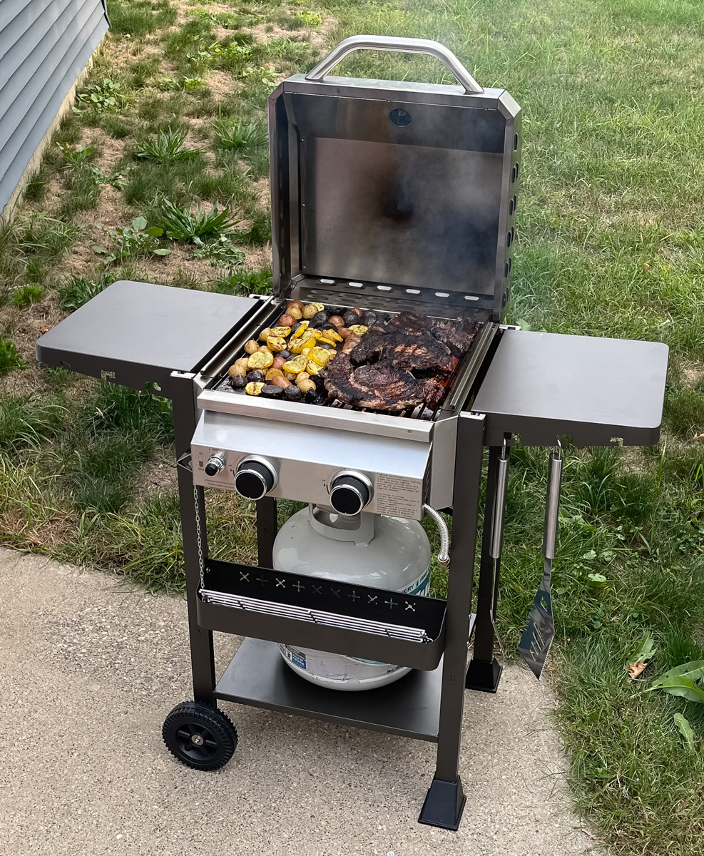 R.W.FLAME G20B Propane Gas Grill Review - Compact but Powerful! - The ...