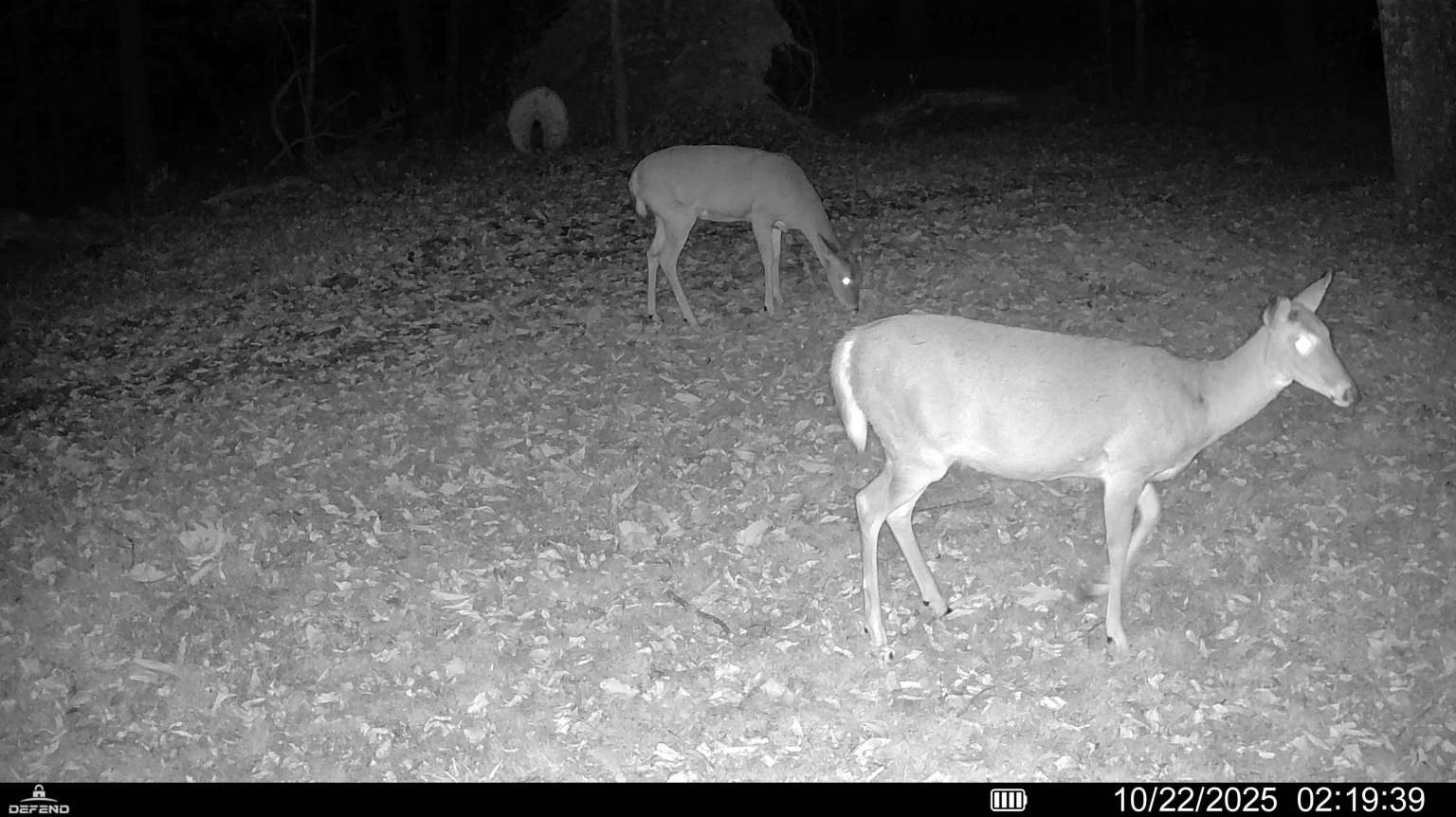 Tactacam DEFEND 360 Cellular Security Camera review - Another winner ...