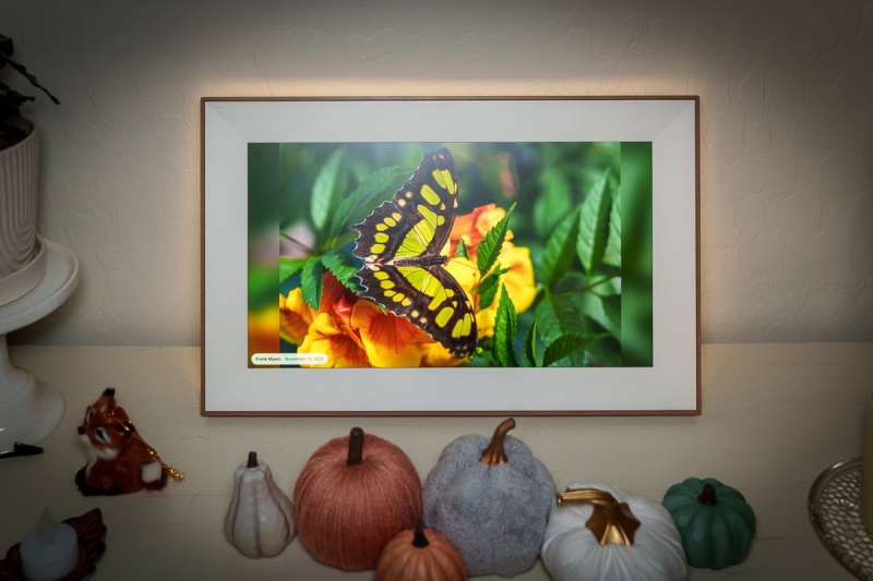 Pexar Starlight 15.6-inch Digital Picture Frame - Gallery Lighting ...