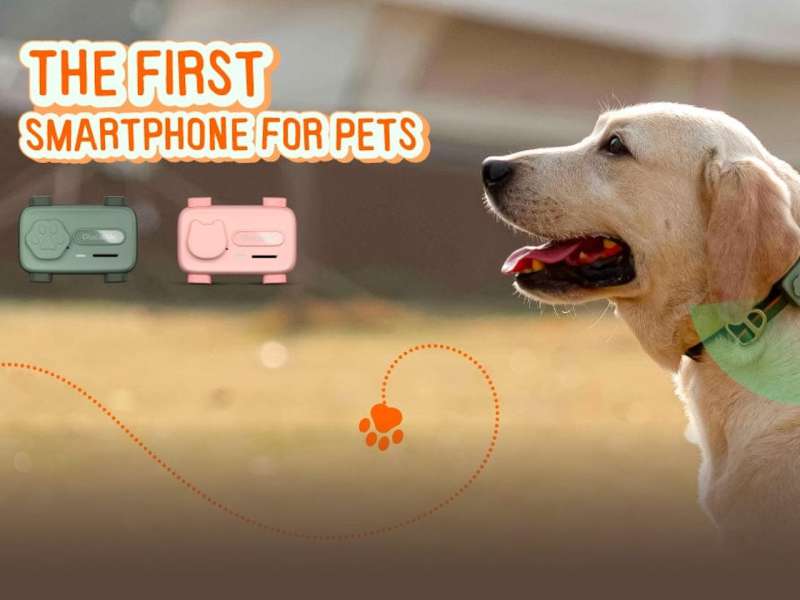 PetPhone Smartphone Lets Your Dog Call You Back